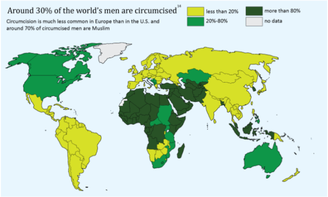 INFOGRAPHIC: The circumcision decision - Scienceline