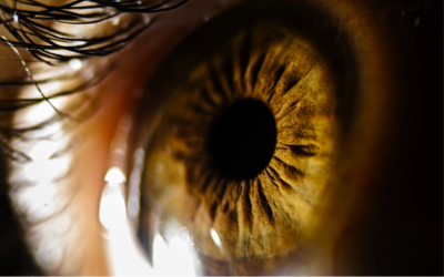 Your eyes are subatomic particle detectors - Scienceline