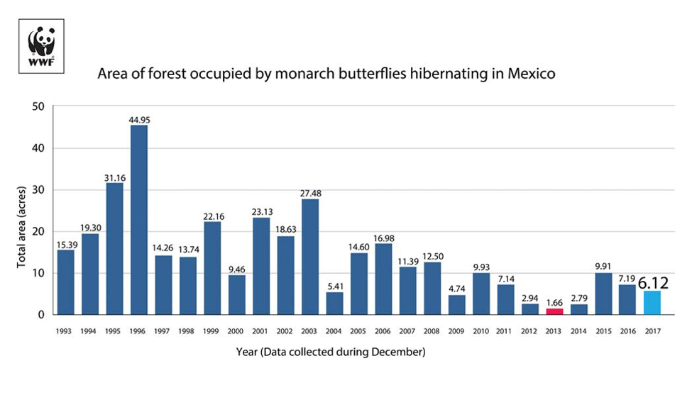 We need a better way to measure monarch populations - Scienceline
