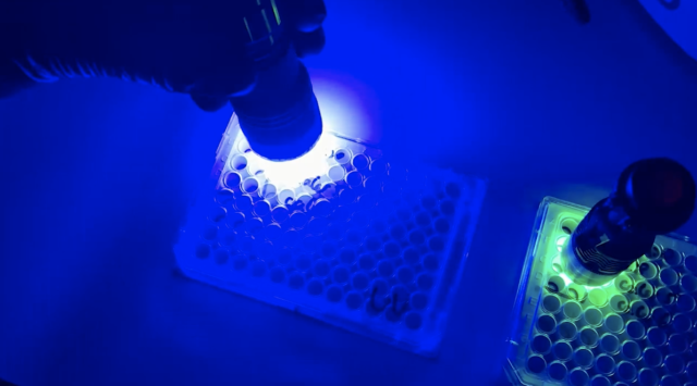 Photopharmacology and the medicinal power of light - Scienceline