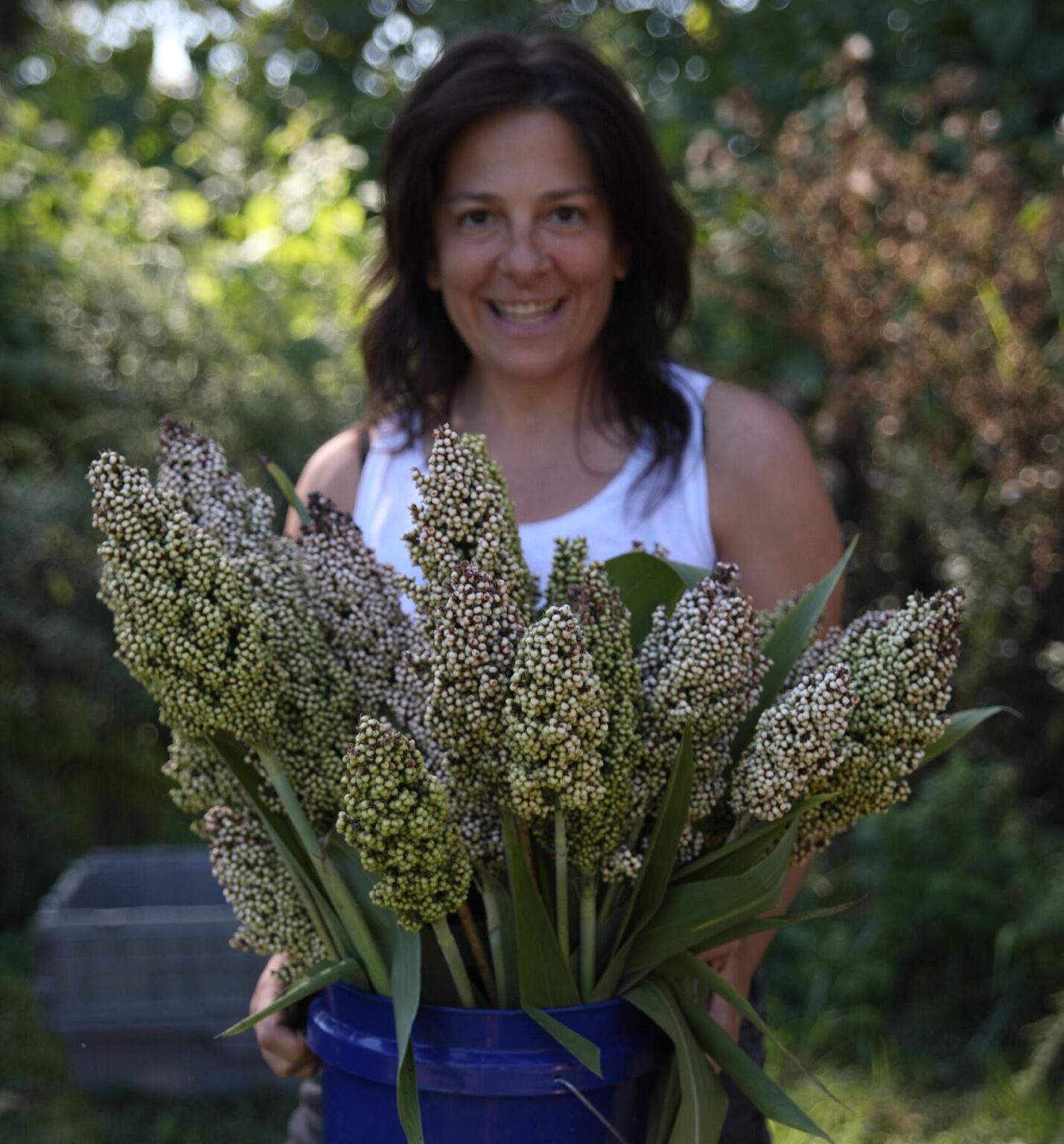 The soil-obsessed artist bringing sorghum to New York farms - Scienceline