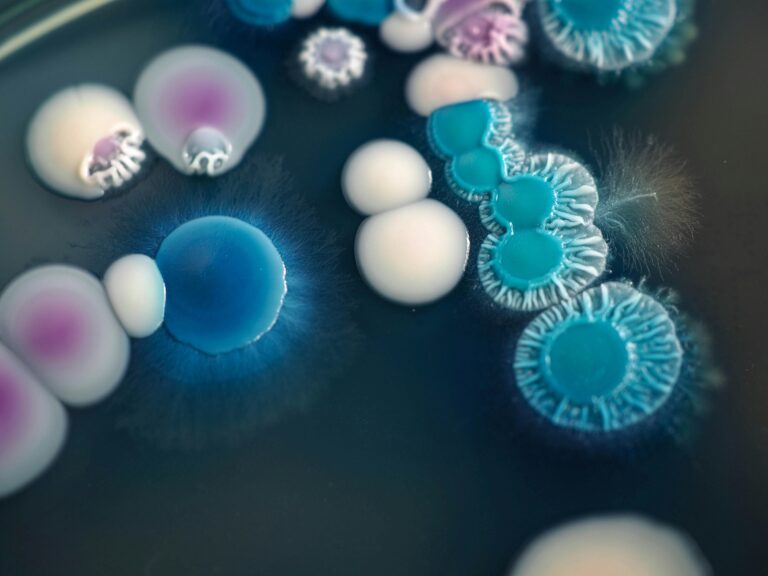 Fungal infections are killing millions. Why don’t we have more ...